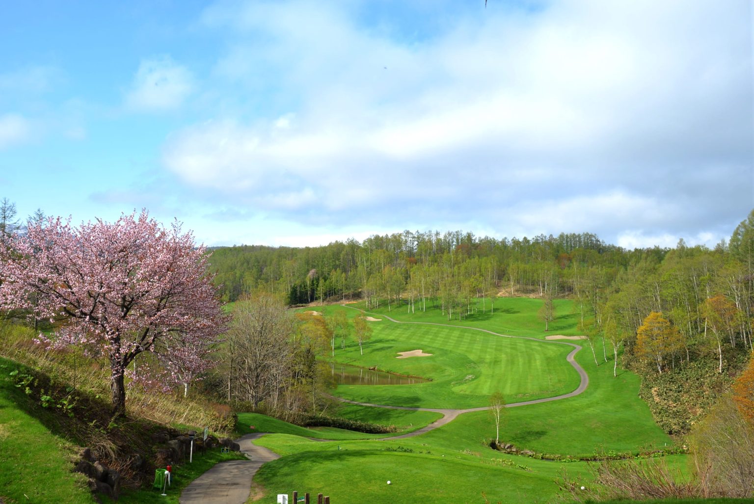 Green Seasons - Niseko Village
