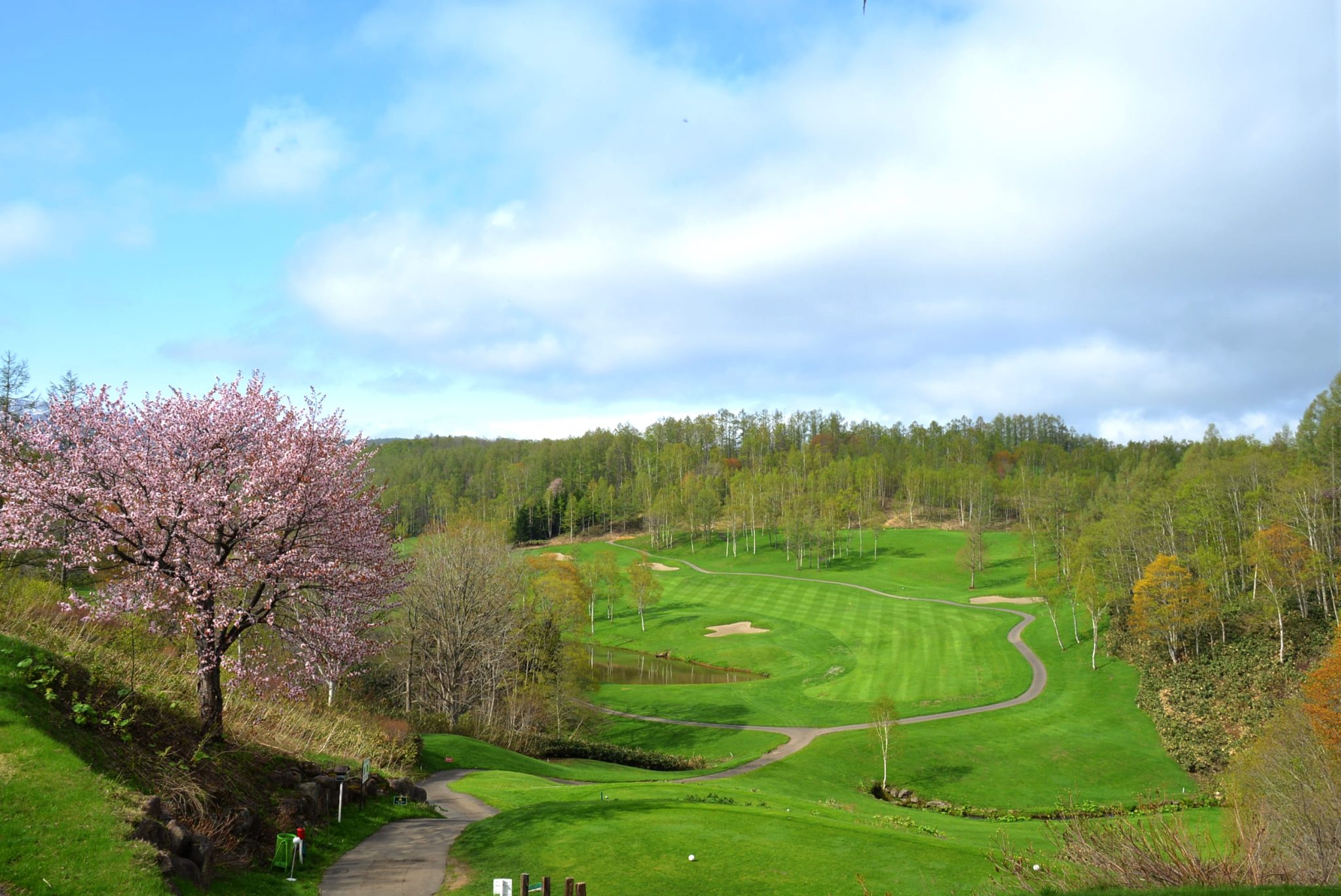 Green Seasons - Niseko Village